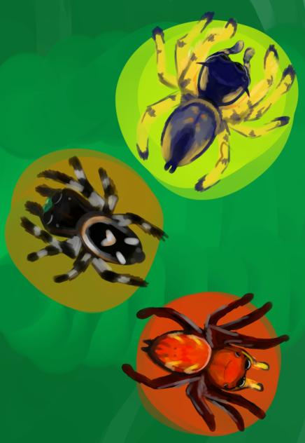 Spooders🕸🕷🕷🕷🕷🕸🕸🕸 - ibisPaint