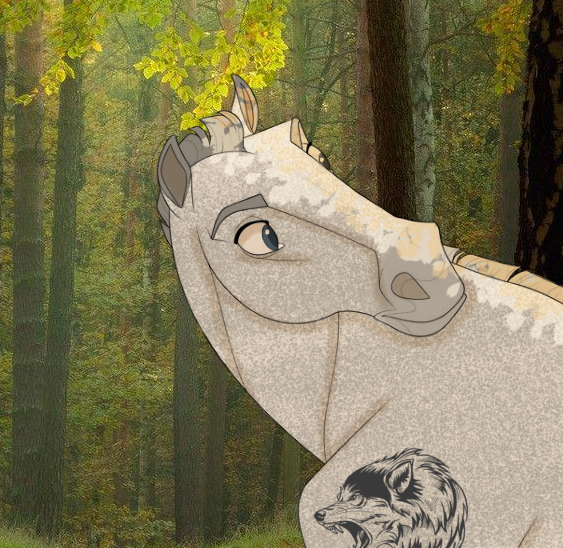 `` Konig, Ghost, im ready `` - ibisPaint