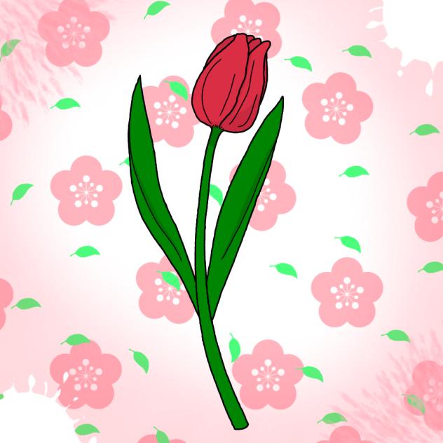 Tulip🌷 - ibisPaint