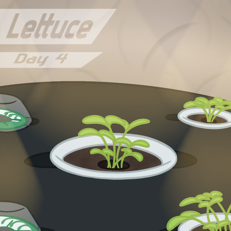 Romaine Lettuce - ibisPaint