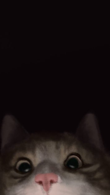 Another caaaaaaat - ibisPaint