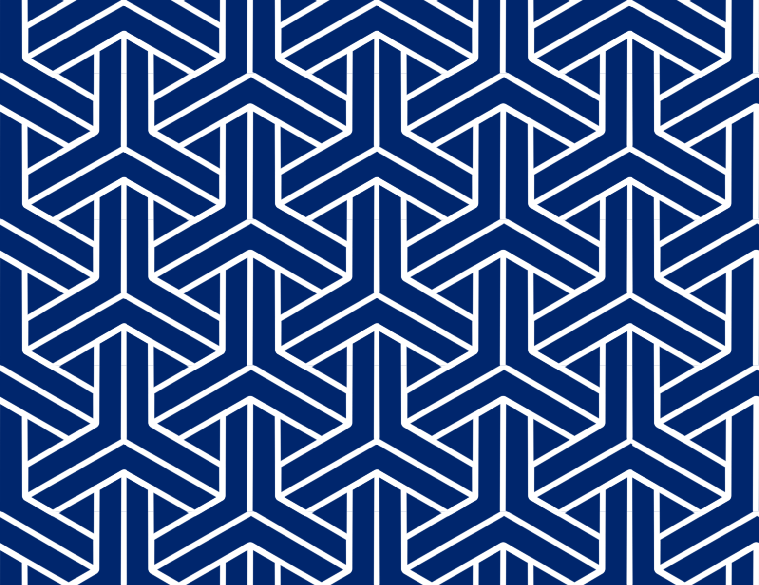 Kumi kikko pattern 1 d - ibisPaint
