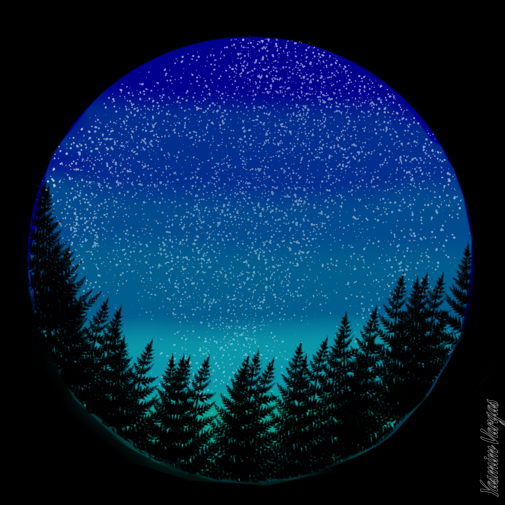 A noite na floresta-night in the forest - ibisPaint