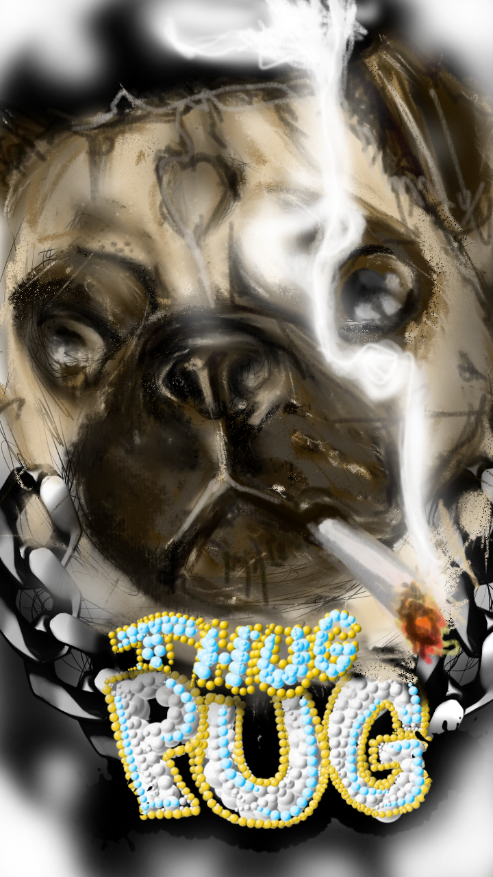 my puggy - ibisPaint