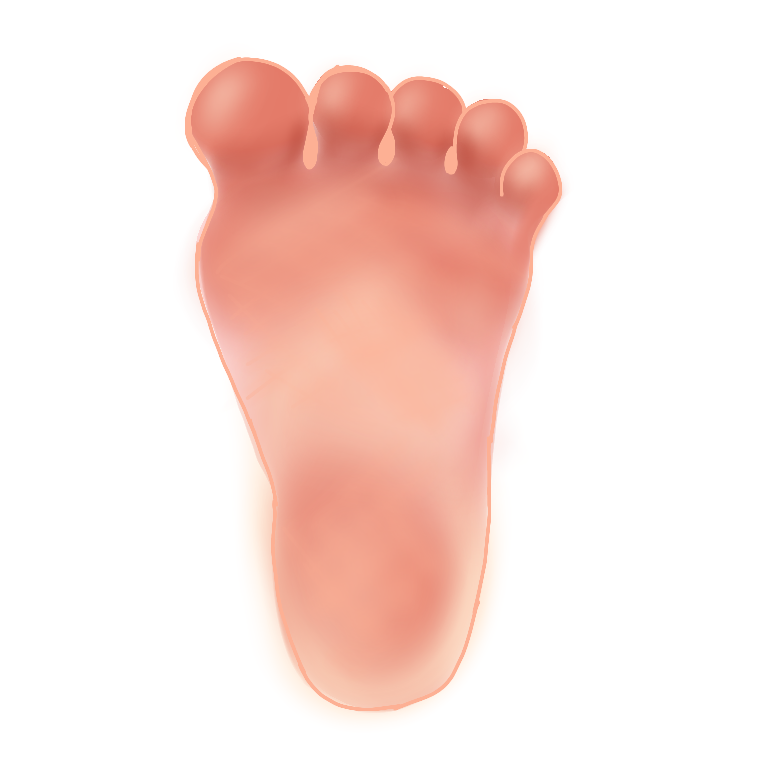 baby's feet - ibisPaint