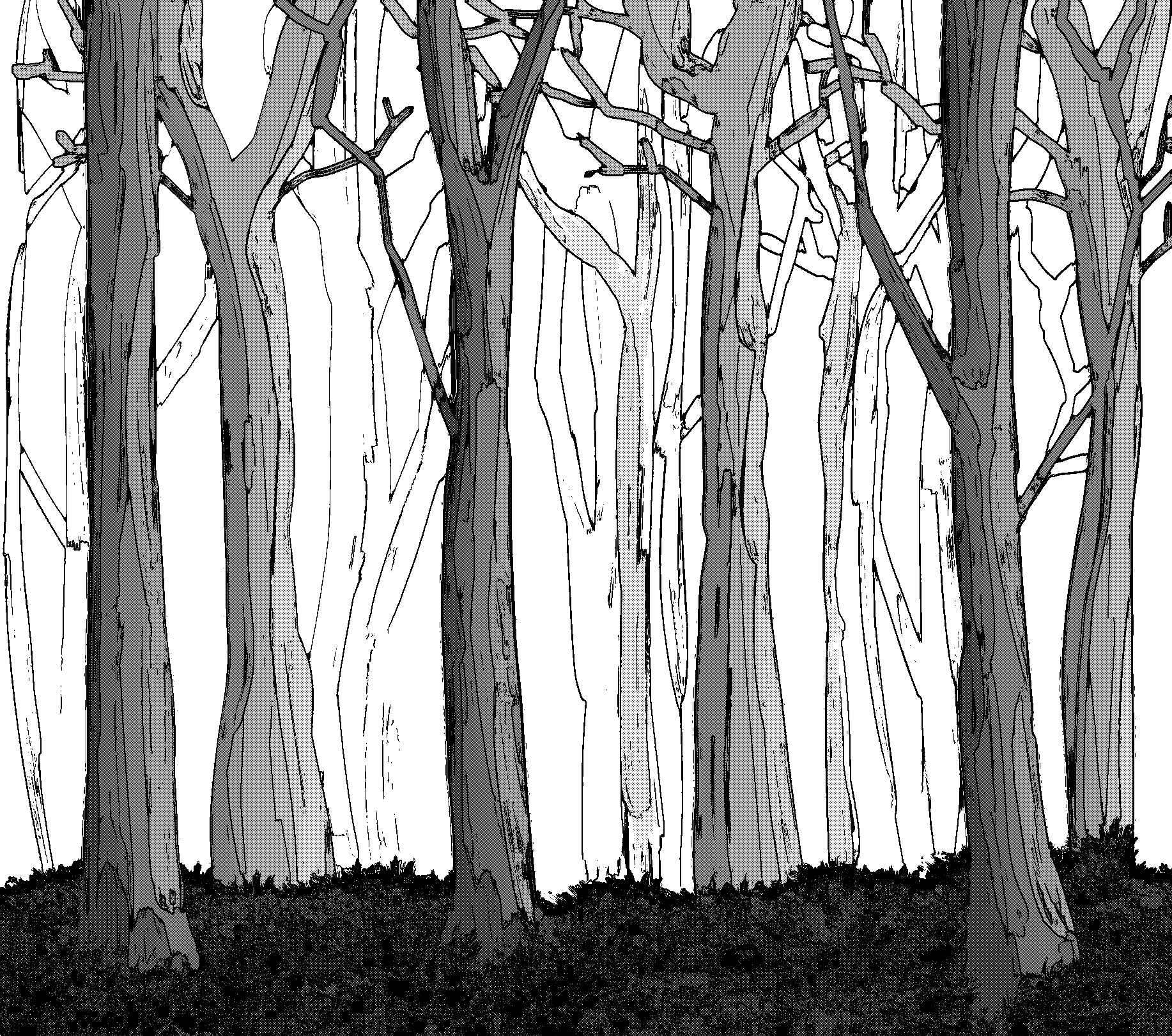 Dark Forest - ibisPaint