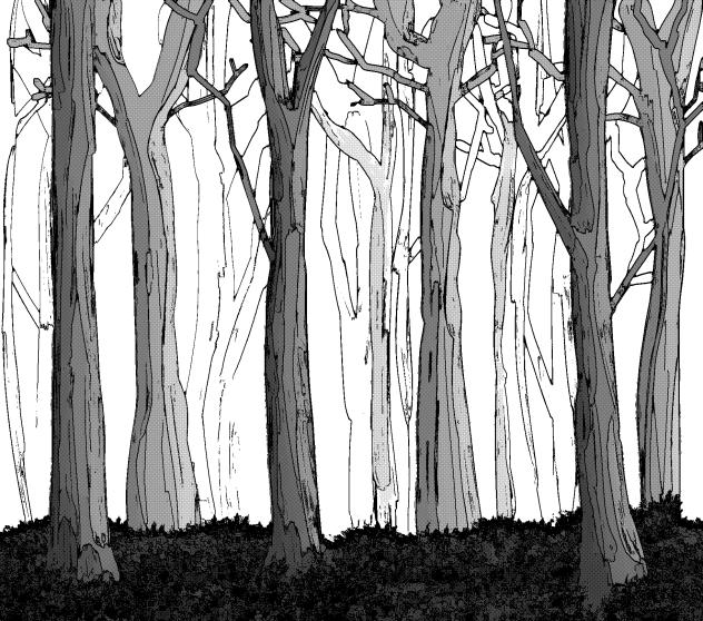 Dark Forest - ibisPaint