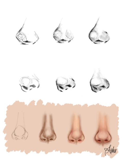 nose - ibisPaint
