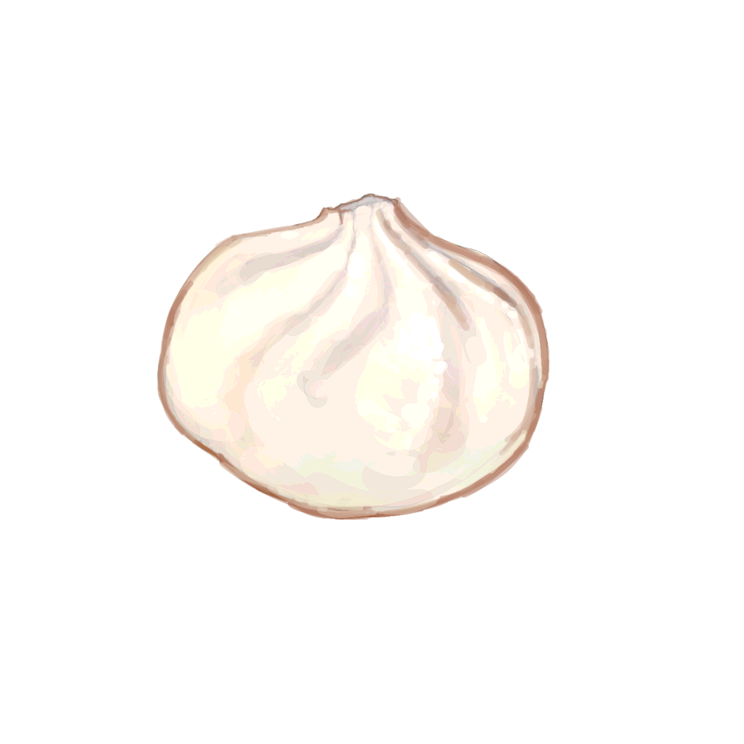 steamed bun - ibisPaint