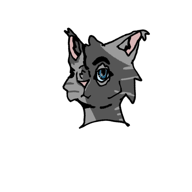 Random cat - ibisPaint