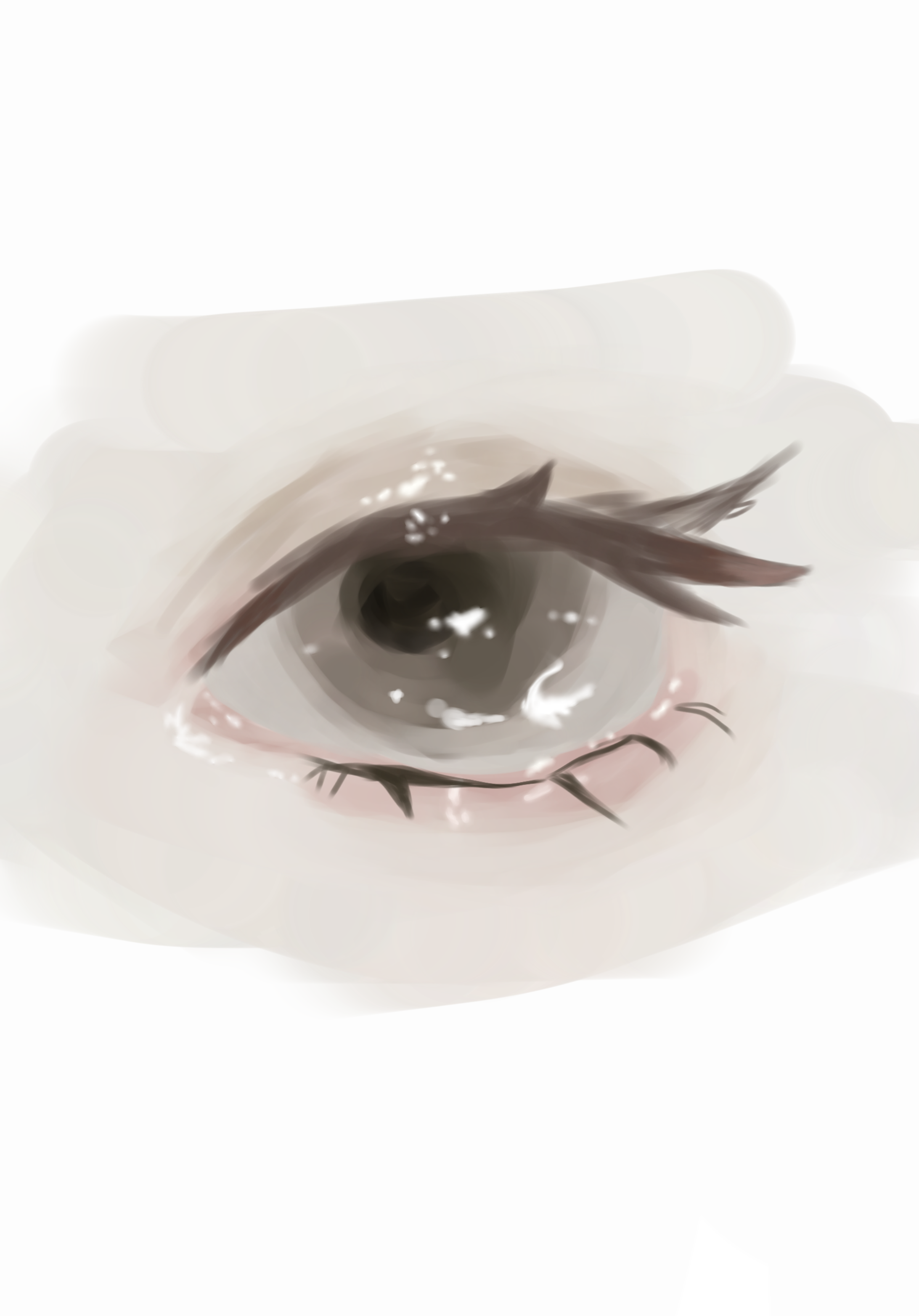 Doe Eye - ibisPaint