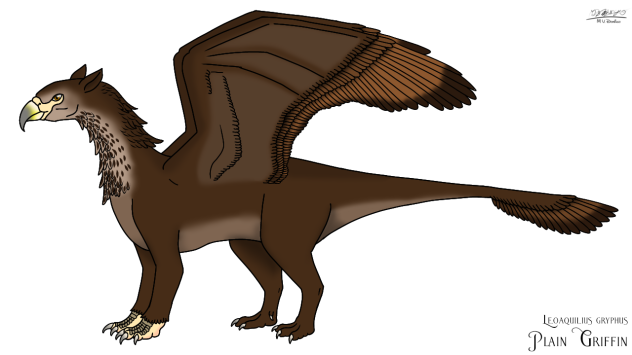 Plain Griffin - ibisPaint