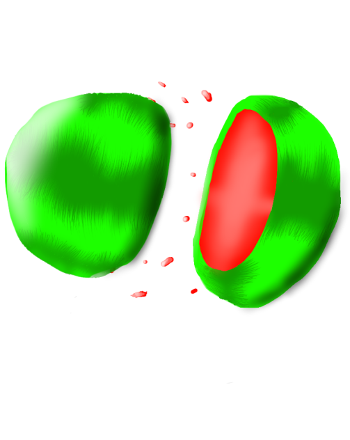 broken water melon - ibisPaint