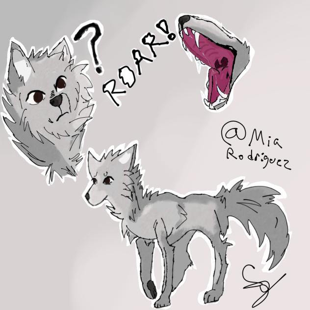 Wolf study and design - ibisPaint
