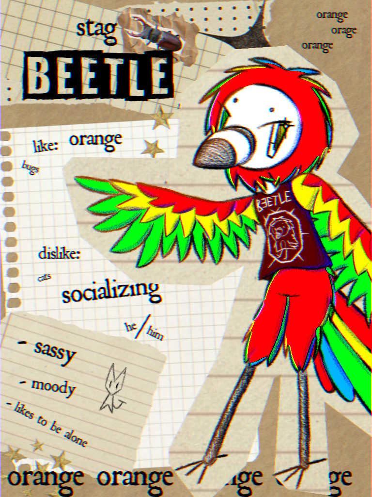 beetle's info page! - ibisPaint