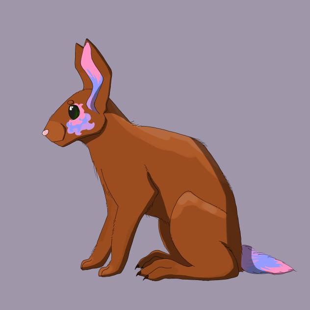 rabbit - ibisPaint