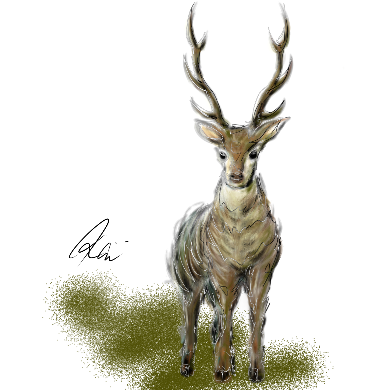 鹿 シカ Deer - ibisPaint