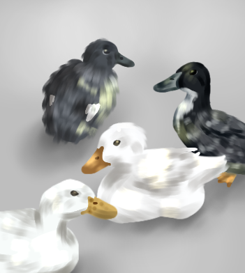 Ducks! - ibisPaint