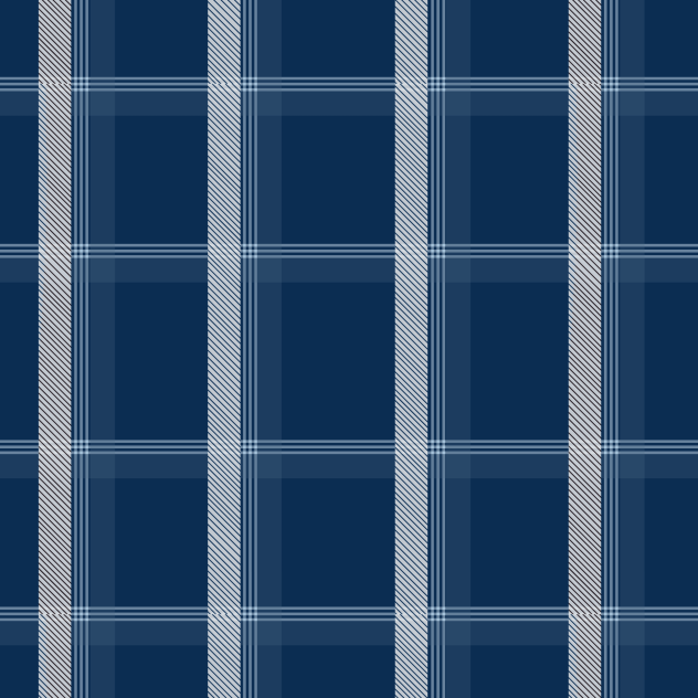 Seamless Cloth Pattern 17 - ibisPaint