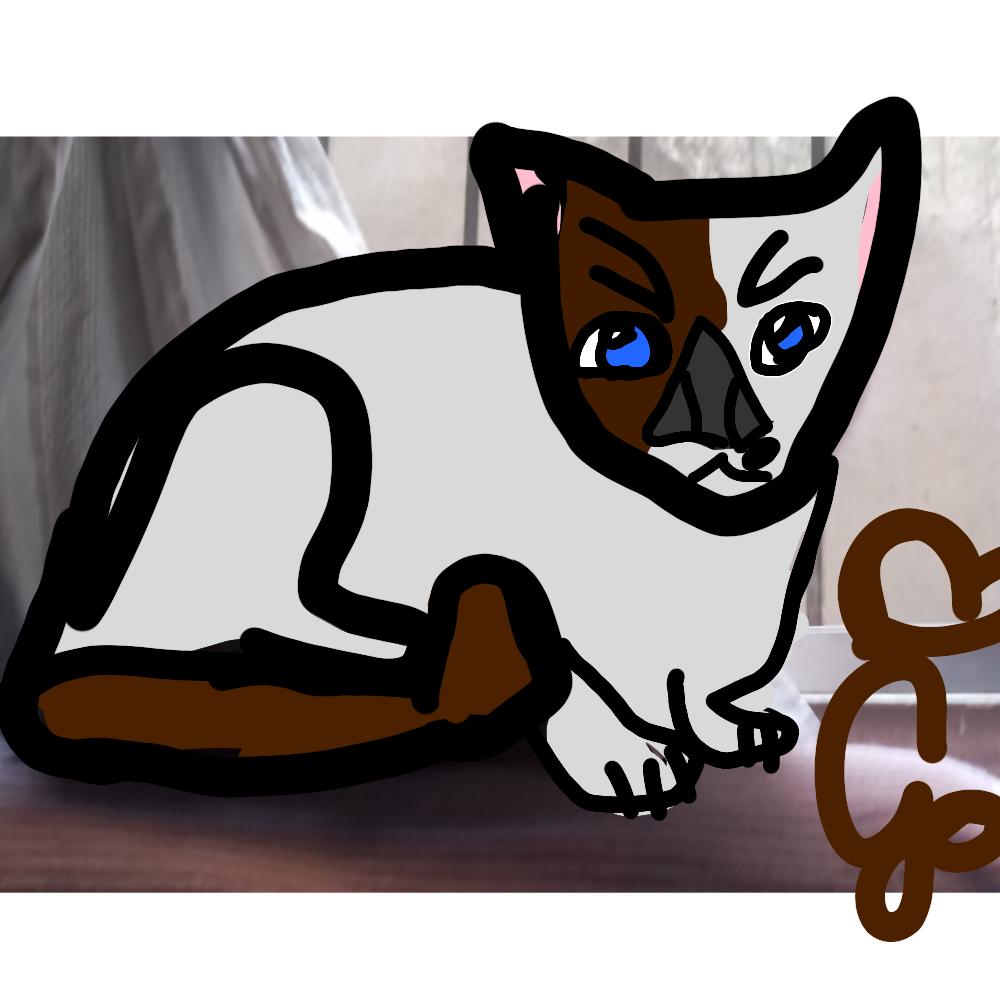 minha gata linda - ibisPaint