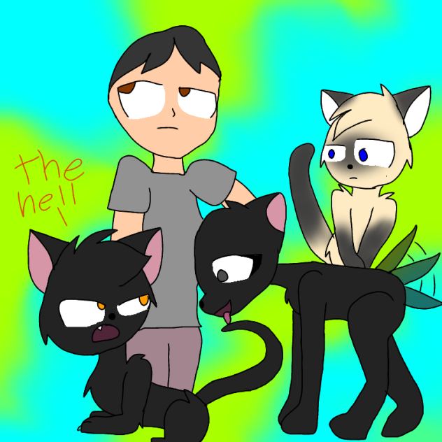 talking Kitty cat - ibisPaint