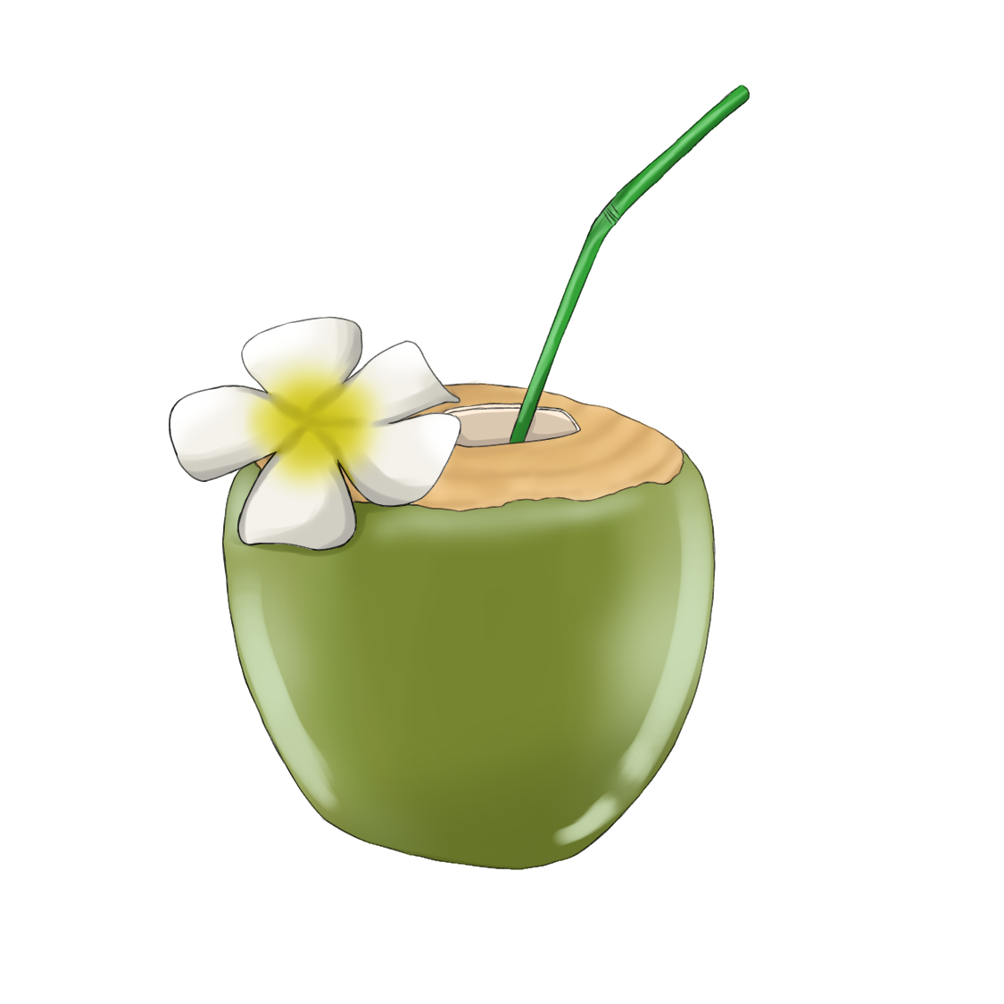 coconut💚🥥 - ibisPaint