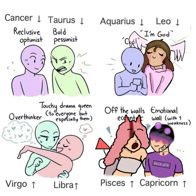 Zodiac ship dynamics - ibisPaint