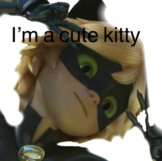 Chat Nour be like 🤣 - ibisPaint