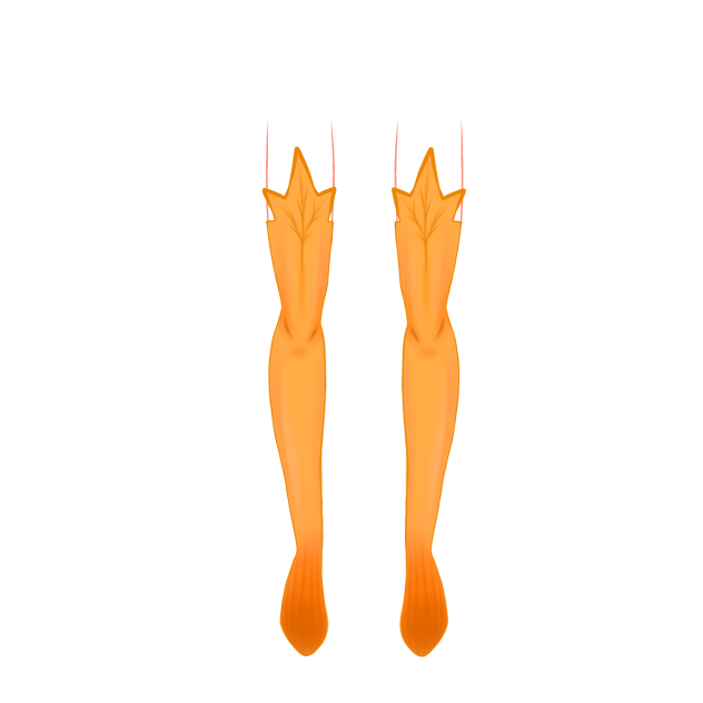 An Autumn inspired Thigh-high - ibisPaint