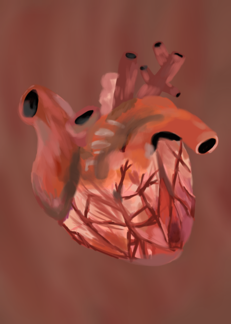 ^ Heart ^ - ibisPaint