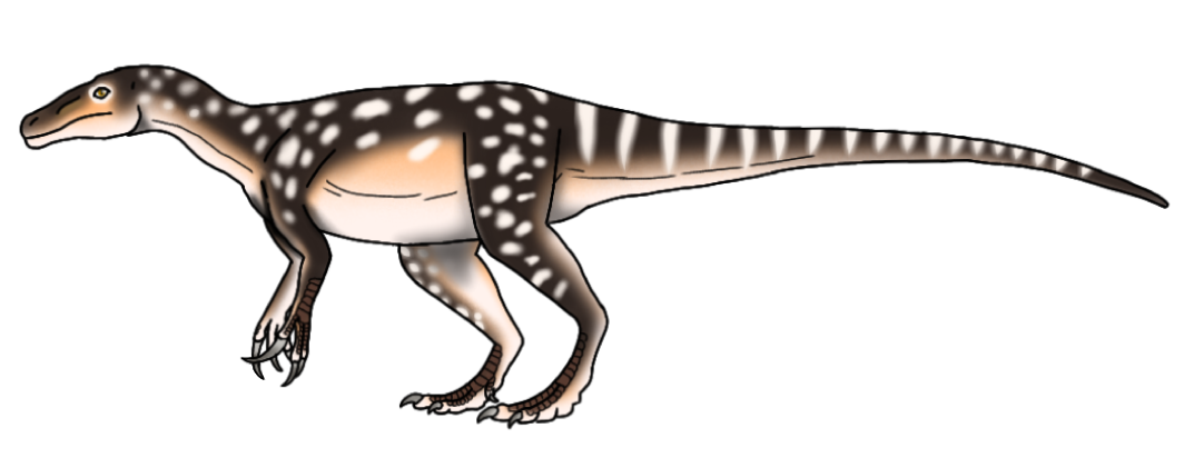 Australovenator wintonensis render - ibisPaint