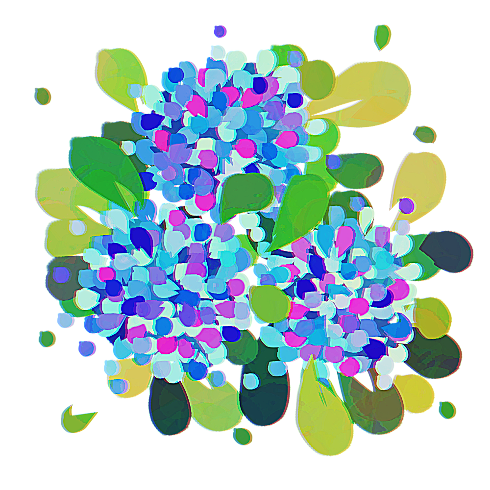 Hydrangea - ibisPaint
