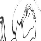 hi everyone - ibisPaint