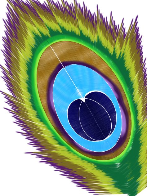 peacock feather - ibisPaint