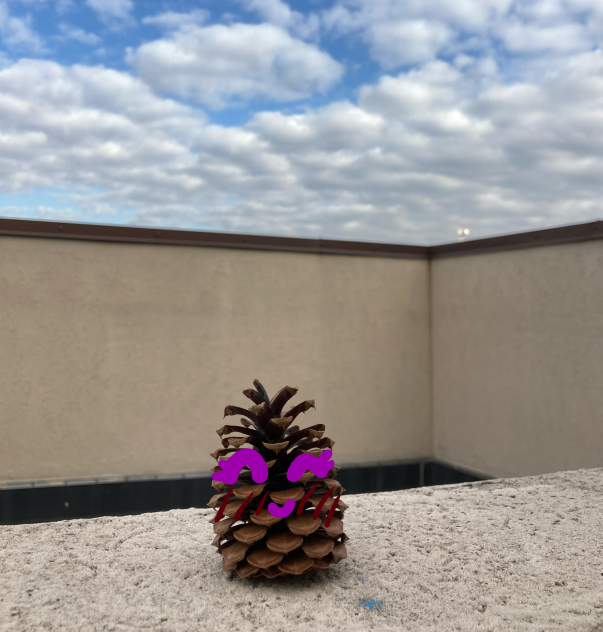 Pinecone -“ㅅ”- - ibisPaint