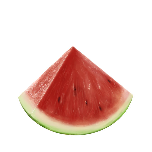 Watermelon - ibisPaint