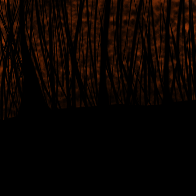 Haunted Forest - ibisPaint