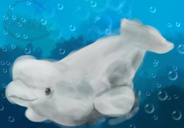 Beluga Whale ♡ - ibisPaint