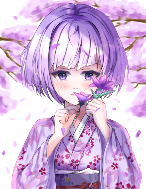 Cherry blossoms - ibisPaint