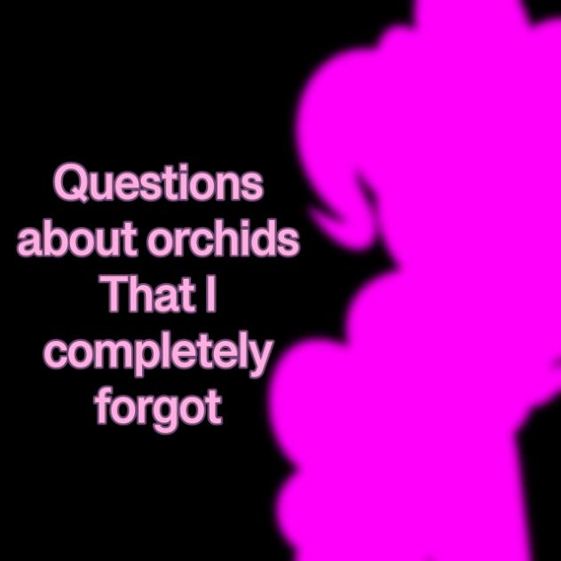 The questions I forgot - ibisPaint