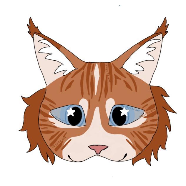 Orange cat mask - ibisPaint