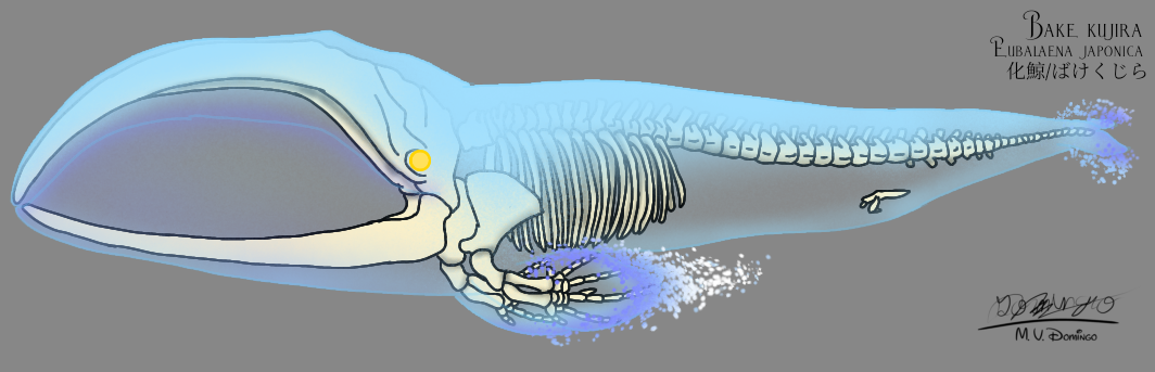 Bake-kujira (2023) - ibisPaint