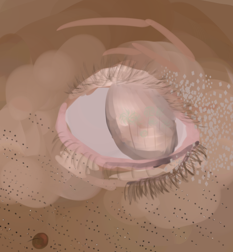 Seeing the paradise - ibisPaint