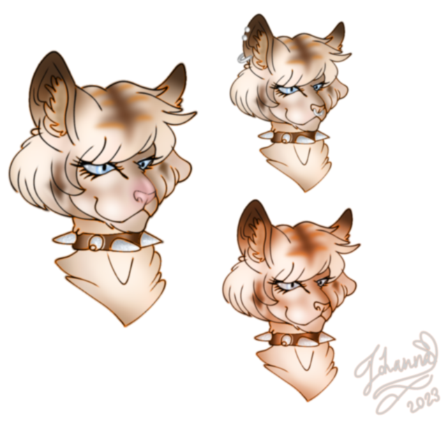 heads cats maya - ibisPaint