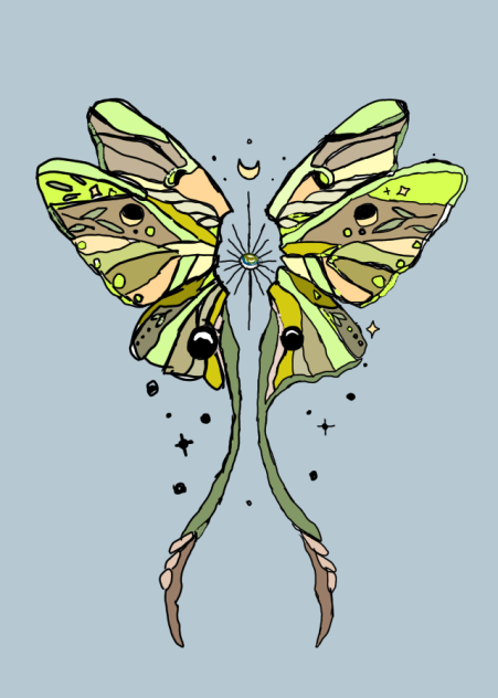 All seeing moth - ibisPaint