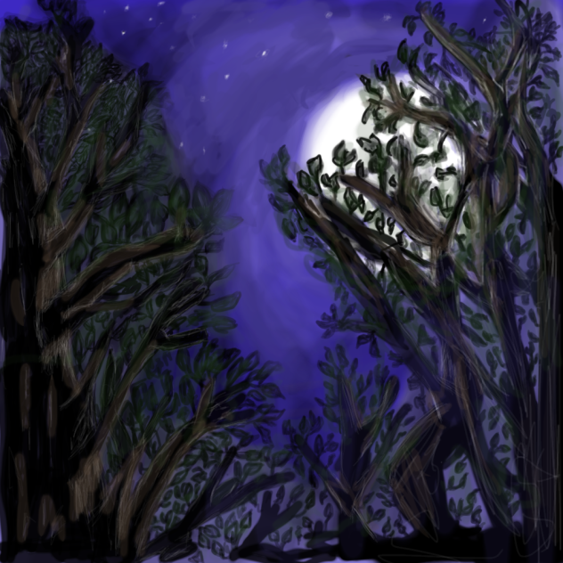 Camping view - ibisPaint