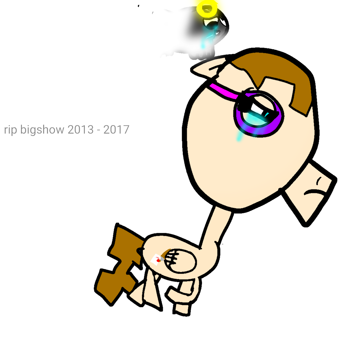Rip bigshow Q.Q - ibisPaint