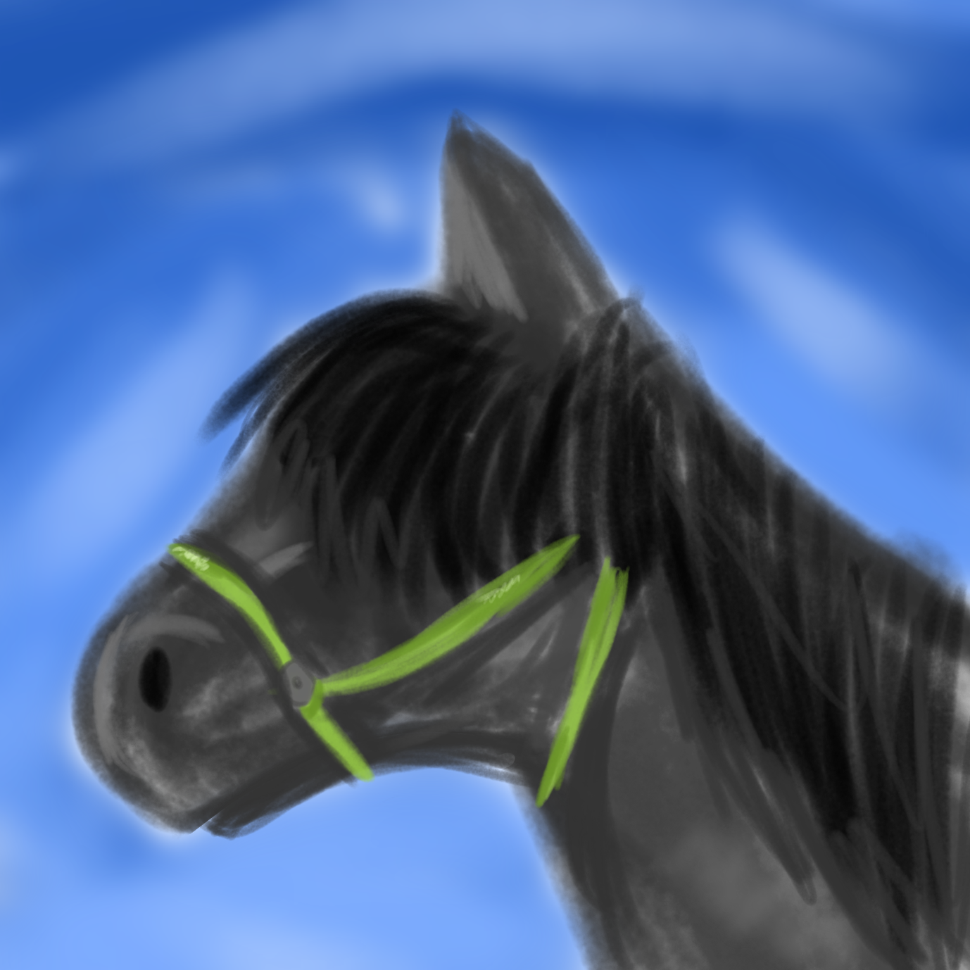 Arravani horse - ibisPaint