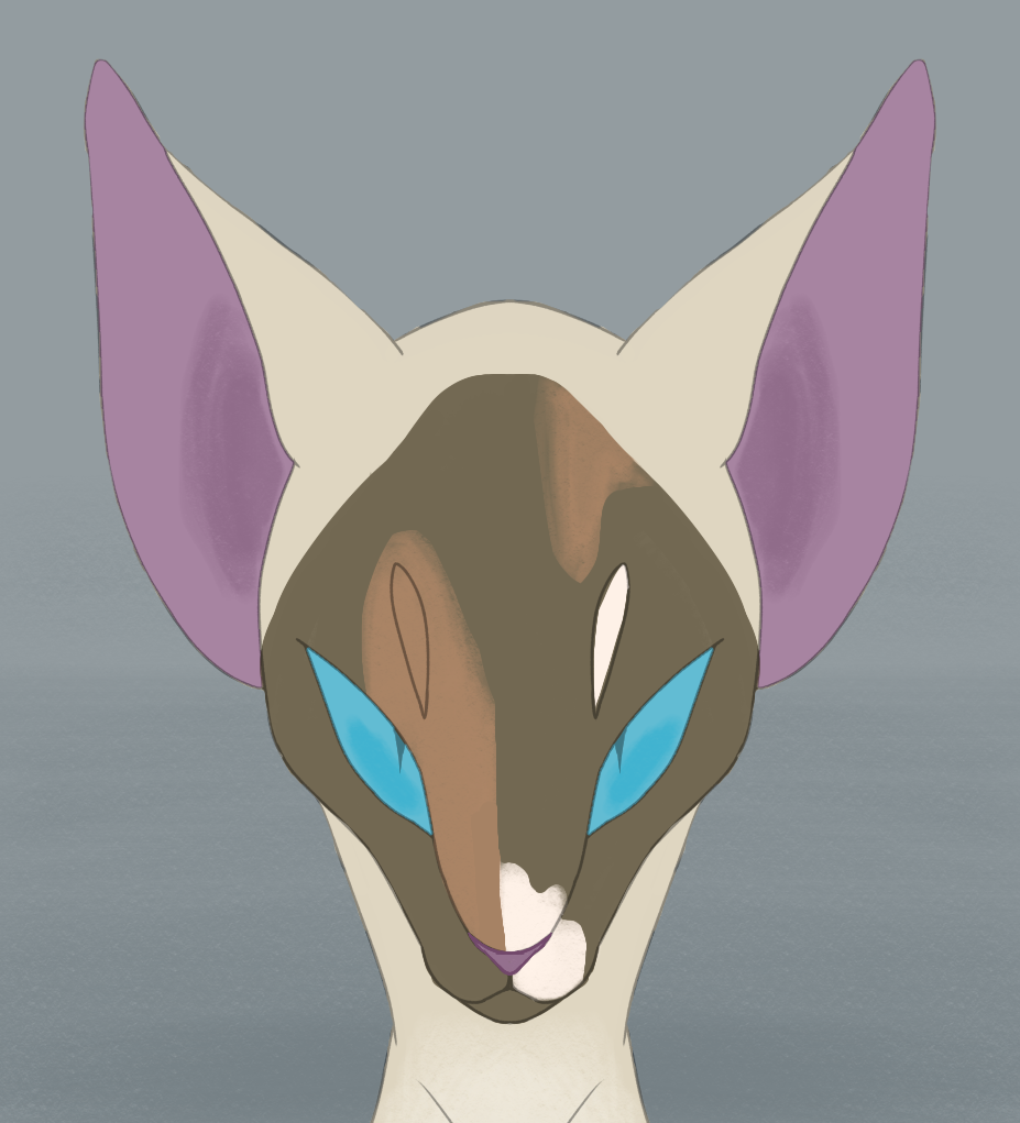 Torbie Siamese - ibisPaint