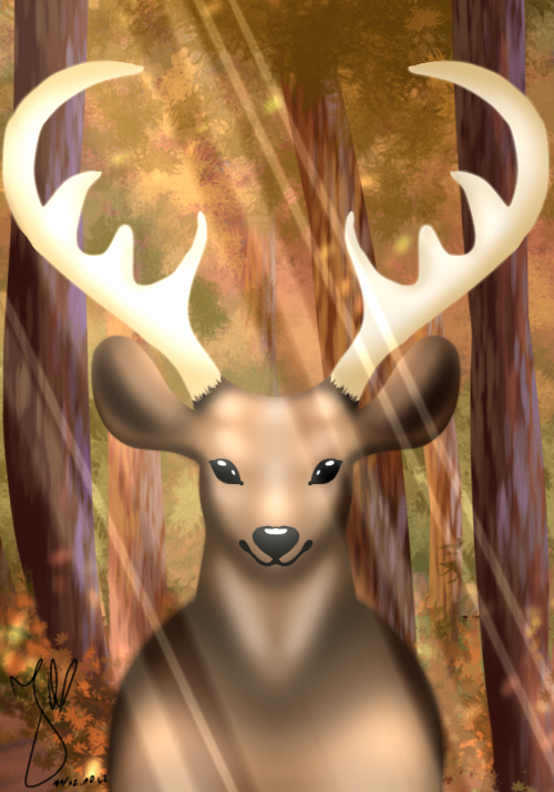 deer - ibisPaint